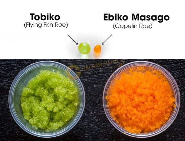 So sánh Trứng cá Tobiko và Ebiko Masago | Hải Sản Vàng - Gold Seafood