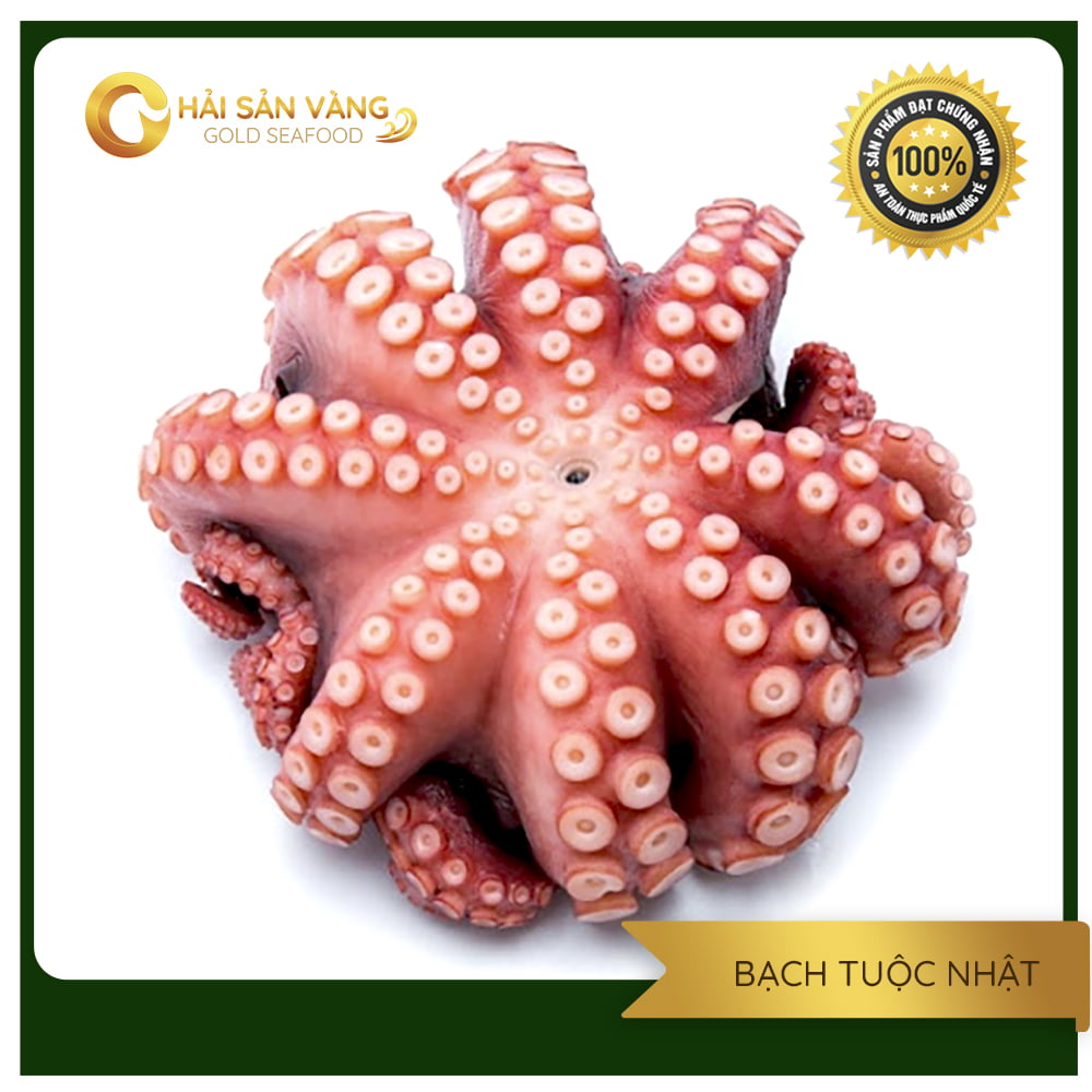 Bạch Tuộc Nhật – Hải Sản Vàng – Gold Seafood