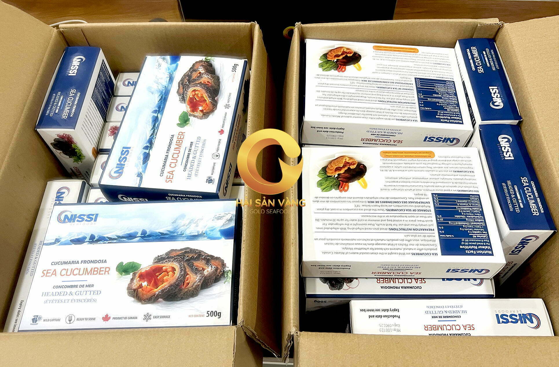 Hải Sâm Canada | Hải Sản Vàng - Gold Seafood