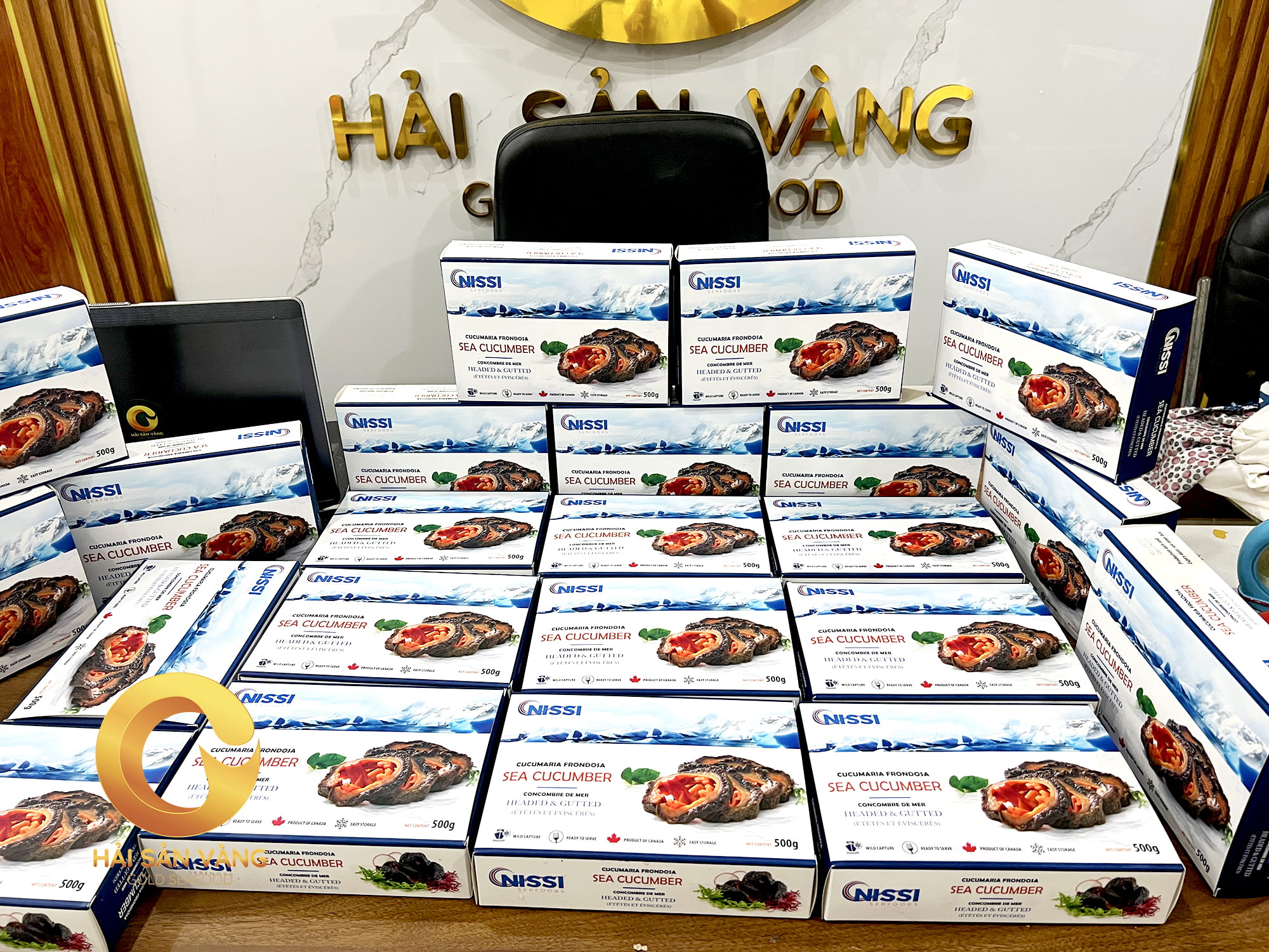 Hải Sâm Canada | Hải Sản Vàng - Gold Seafood