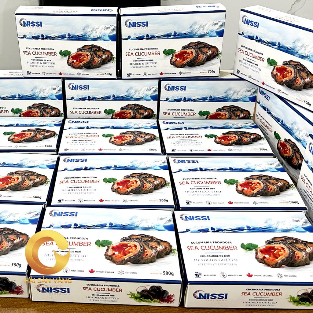 Hải Sâm Canada | Hải Sản Vàng - Gold Seafood