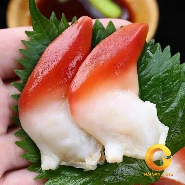 Sò Đỏ Canada | Hải Sản Vàng - Gold Seafood