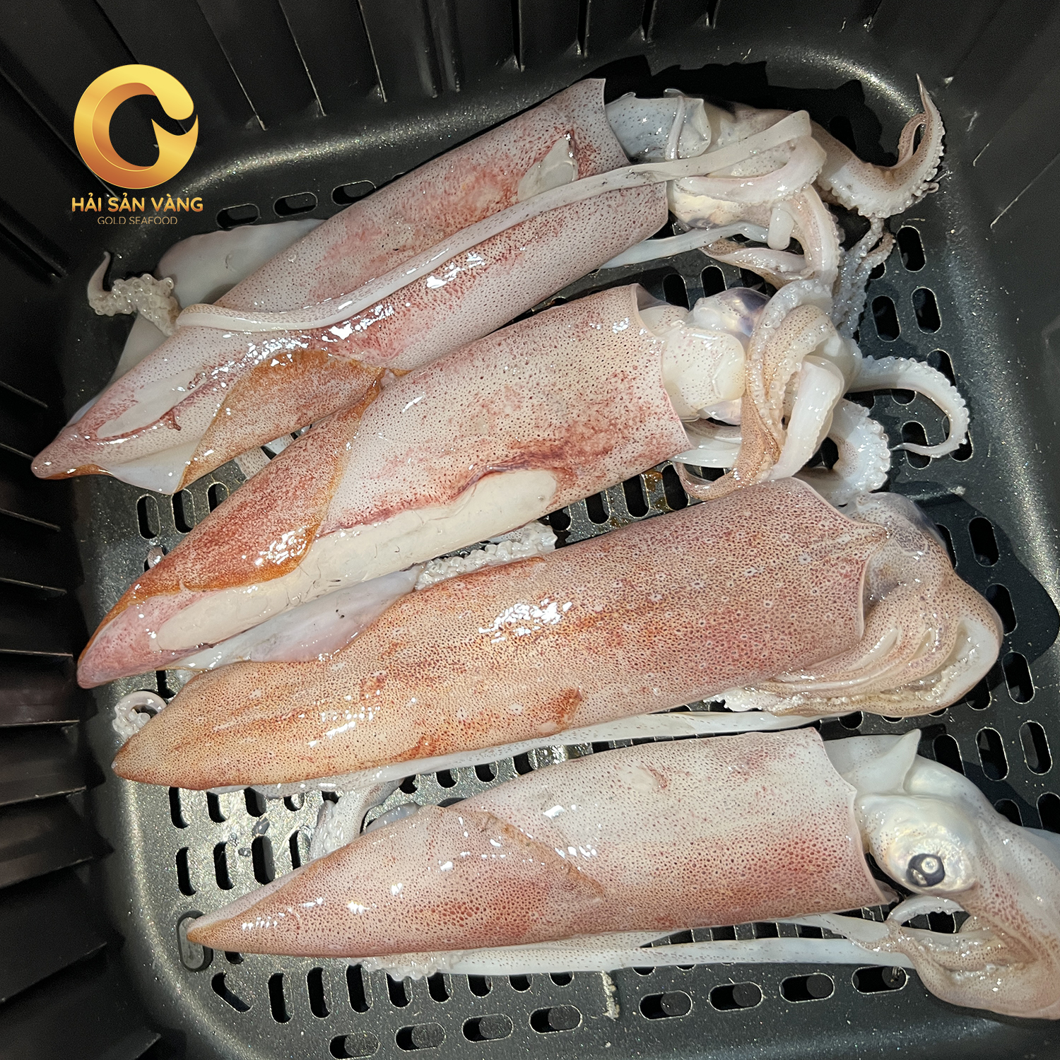 4 cách phân biệt mực ống tươi ngon. | Hải Sản Vàng - Gold Seafood